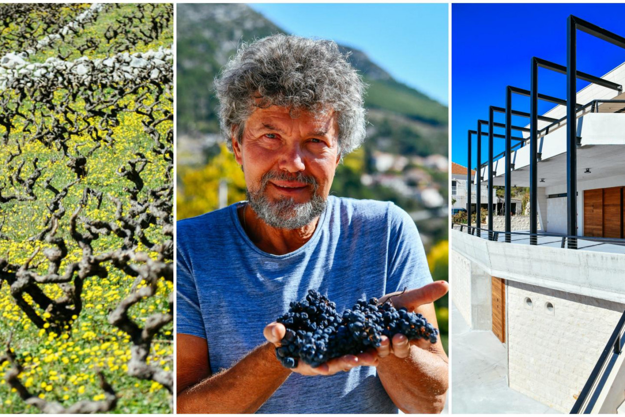 Dubrovački - Pelješki vinar i vinogradar Frano Miloš ostvario san: Na ...