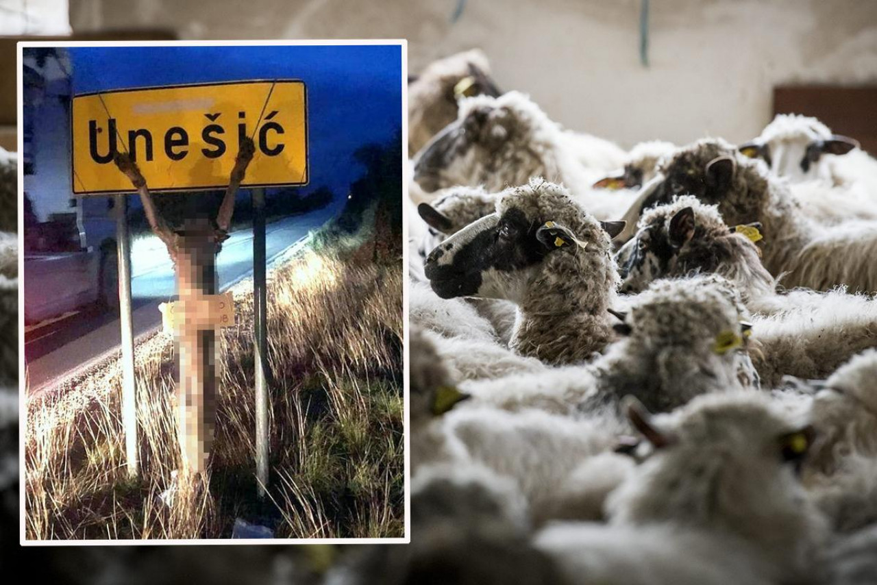 Slobodna Dalmacija - Mještani Unešića: 'Nismo mi razapeli vuka! Prije ...