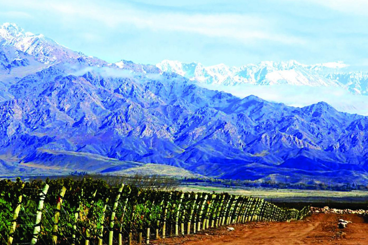 Slobodna Dalmacija - Argentinski prvaci: markantni južnjaci malbec i ...