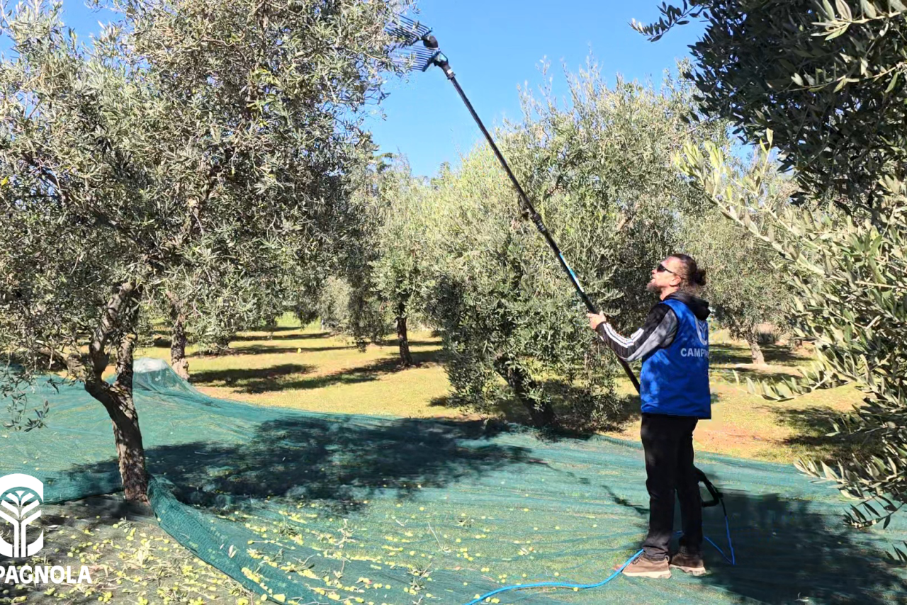 Maslina - Tresač Campagnola Alice Star 58 PLUS, ekološki tresač koji ne ...