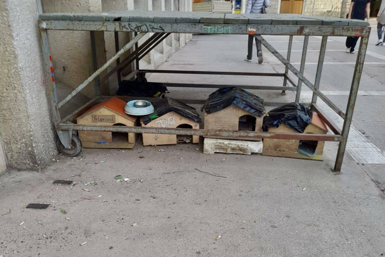 Slobodna Dalmacija - Pitate se gdje su nestale kućice za mace s Poljane ...