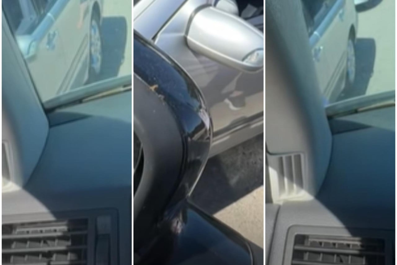 Slobodna Dalmacija - VIDEO Ulica stala zbog nje! Merđom blokirala sve ...